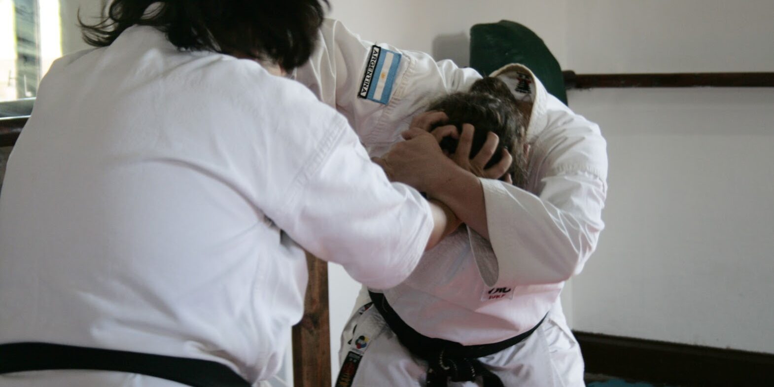 Métodos de entrenamiento de kata con vistas a una defensa personal real – Yoshukai Uechi-Ryu ...