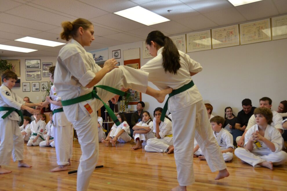 Yoshukai Uechi-Ryu Karate-Do